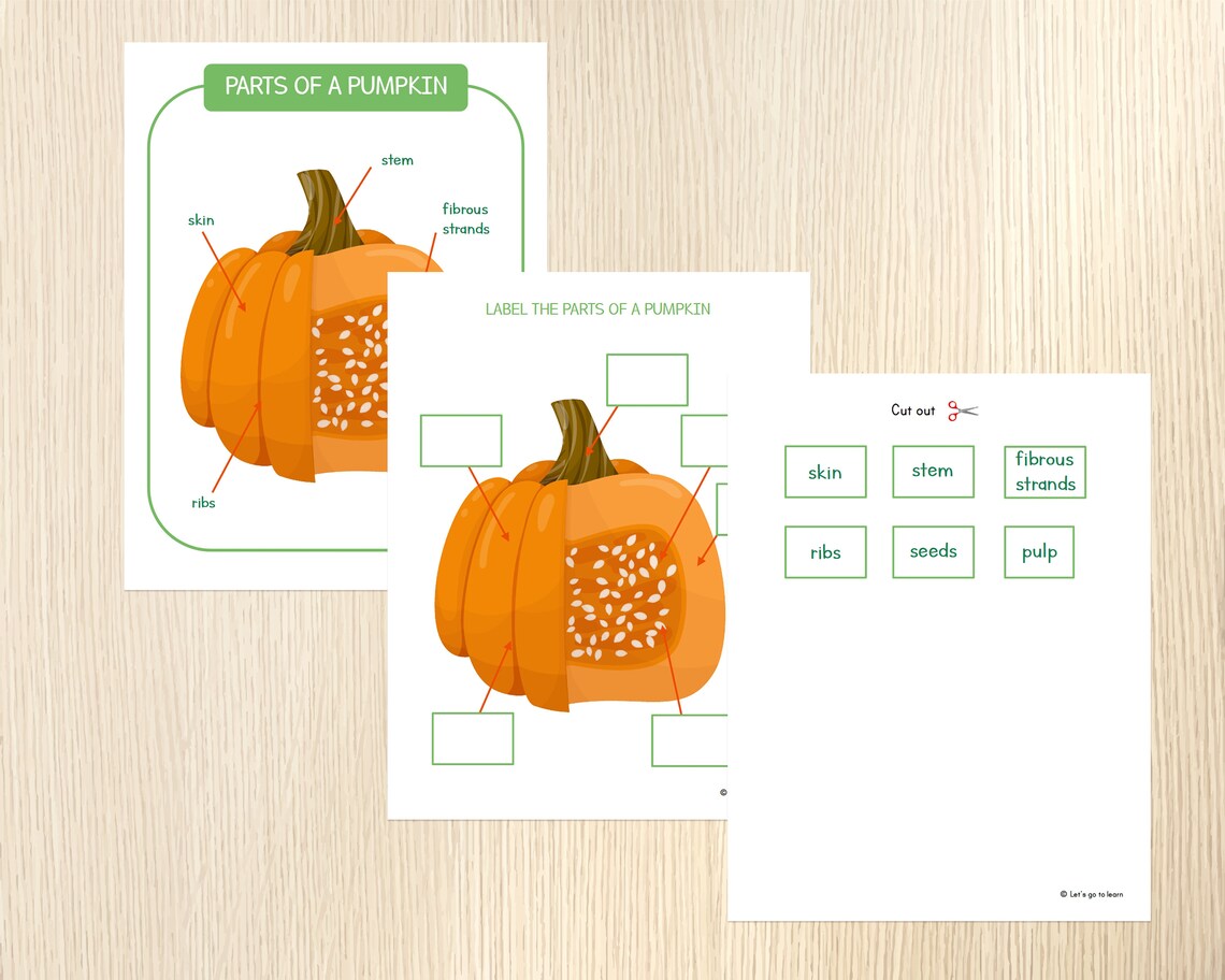 Pumpkin Unit Study Parts Life Cycle Varieties Worksheets - Etsy