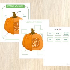 Pumpkin Unit Study, Parts, Life Cycle, Varieties, Worksheets, Fall ...