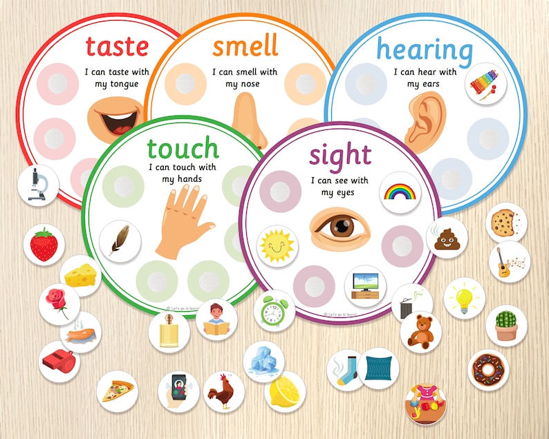 Five Senses Sorting Activity 5 Senses Classification Game - Etsy