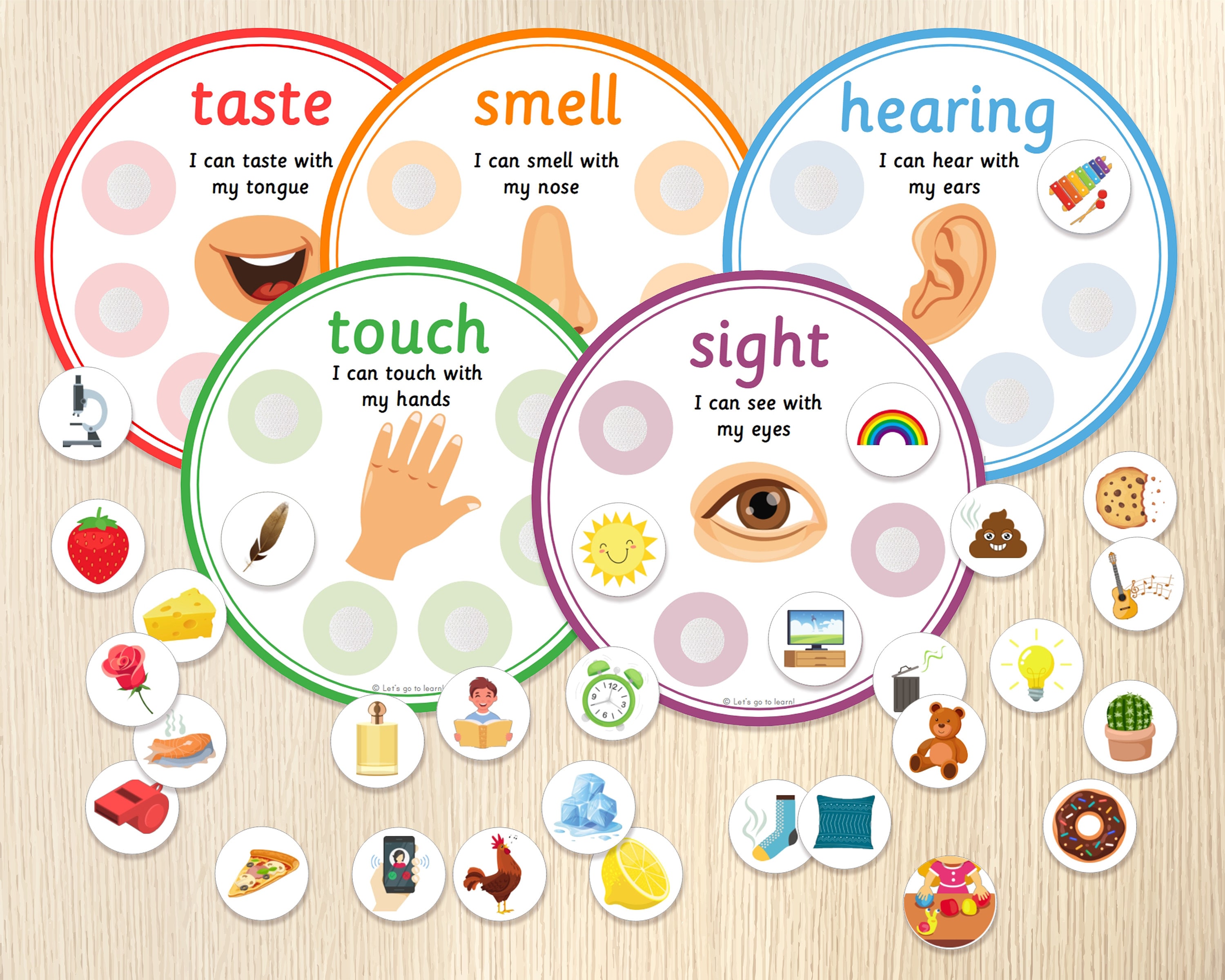 Five Senses Sorting Activity 5 Senses Classification Game - Etsy