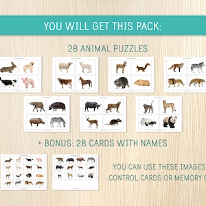 Animal Puzzles, Matching Cards, Symmetry, Montessori Activity, Toddler ...