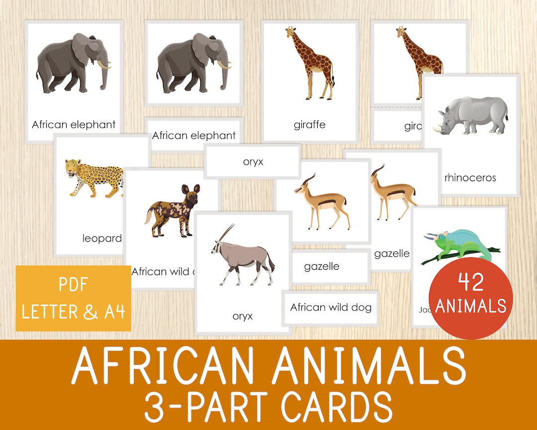 African Animals 3-part Cards - Nomenclature Cards - Africa Unit Study ...