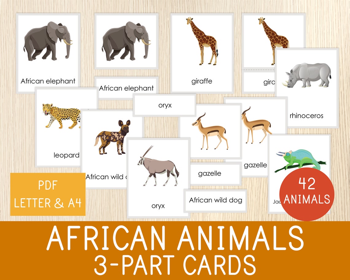 African Animals 3-part Cards - Nomenclature Cards - Africa Unit Study ...