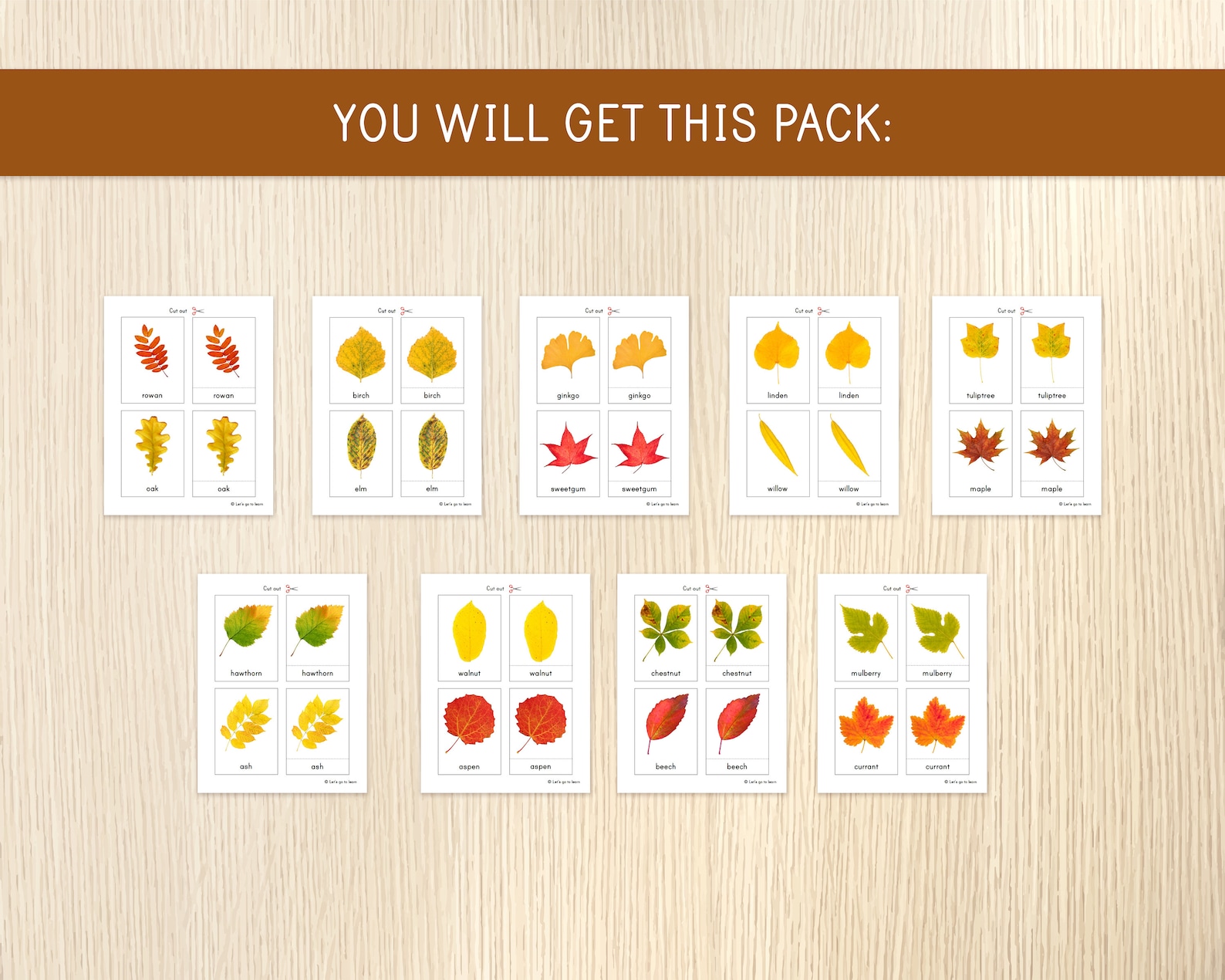 Fall Leaves 3-part Cards 18 Nomenclature Cards Real Images - Etsy