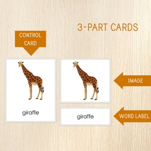 African Animals 3-part Cards - Nomenclature Cards - Africa Unit Study ...