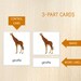 African Animals 3-part Cards - Nomenclature Cards - Africa Unit Study ...