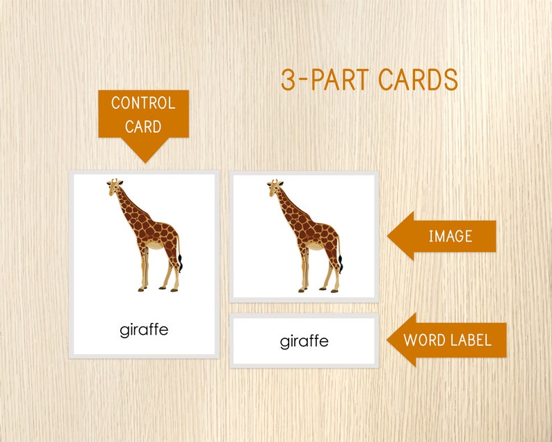 African Animals 3-part Cards Nomenclature Cards Africa Unit - Etsy