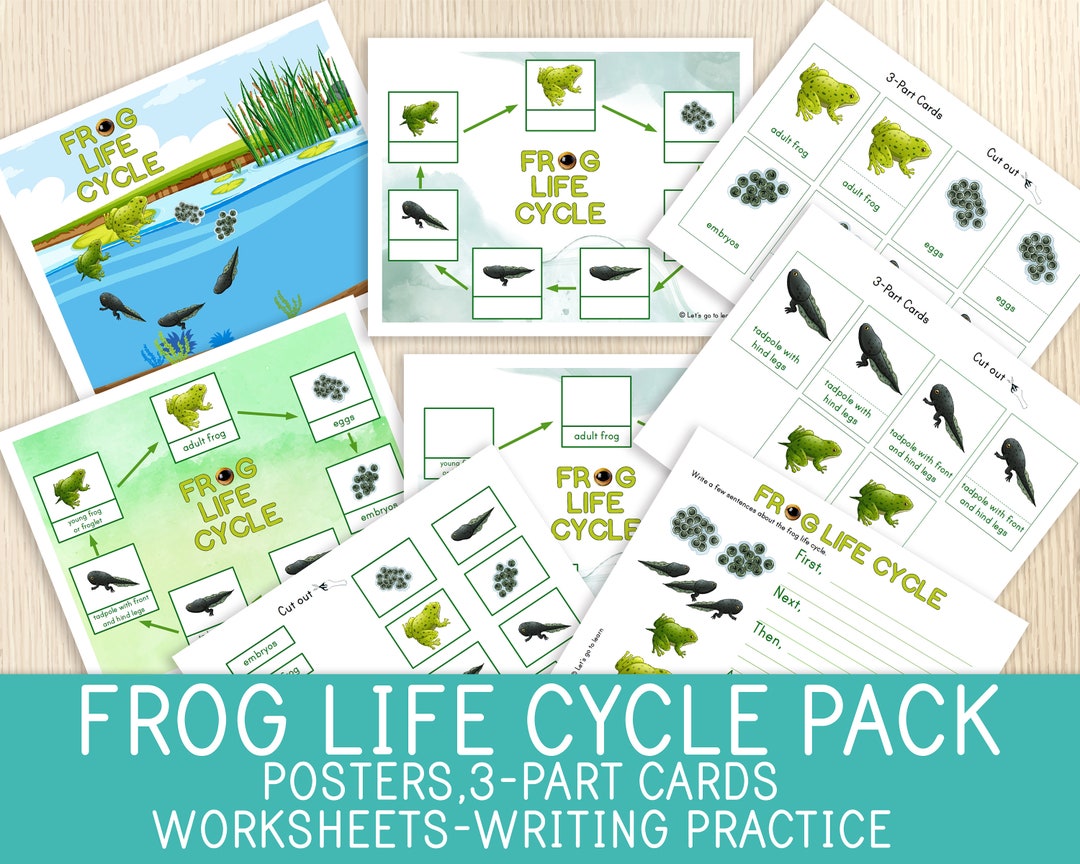 Life Cycle of a Frog, Posters, 3-part Cards, Worksheets, Writing ...