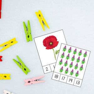 Flower Count & Clip Cards, Numbers 1 to 20, Counting Activity, Spring ...