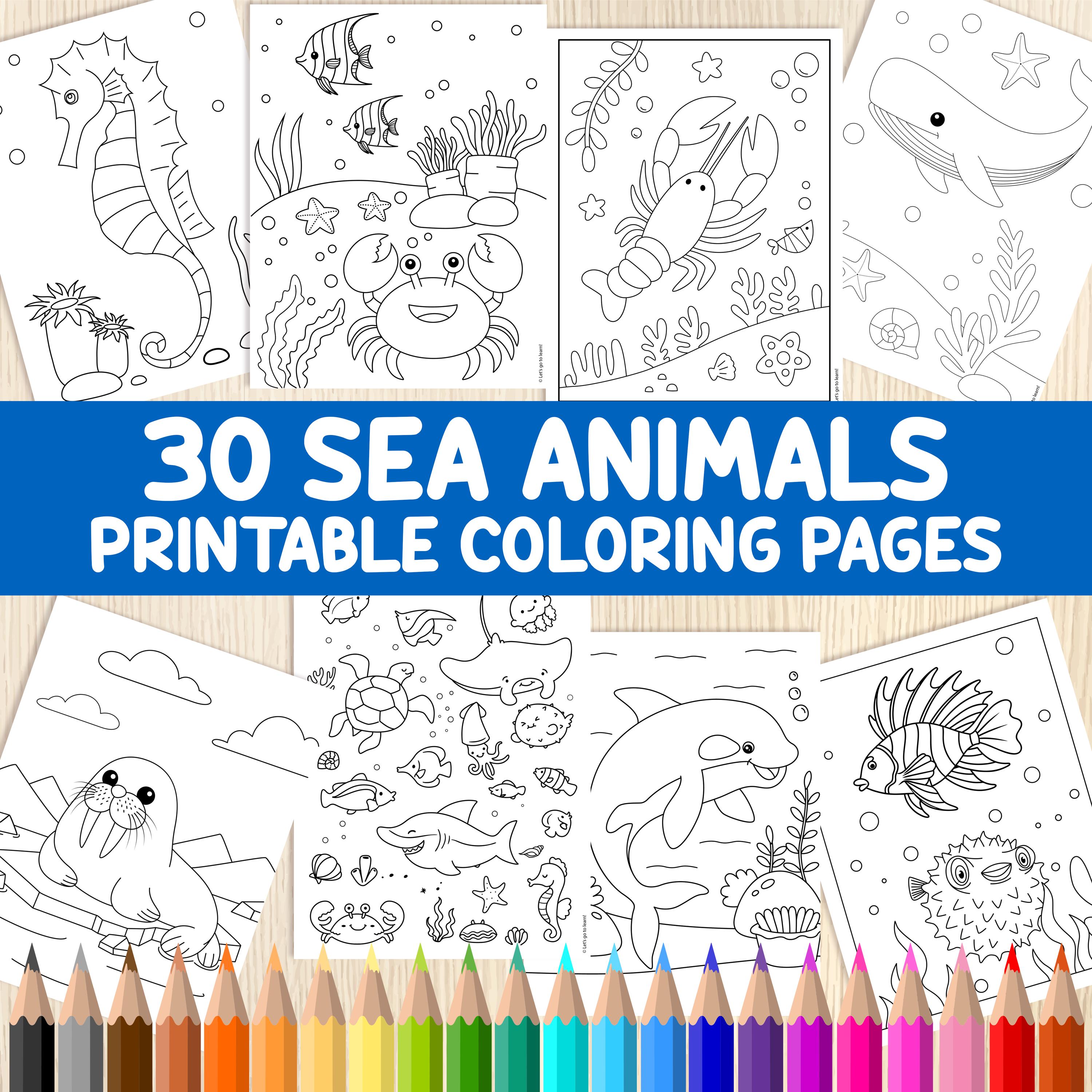 Sea Animals Coloring Pages, Ocean Animal Printable Activity, Preschool ...