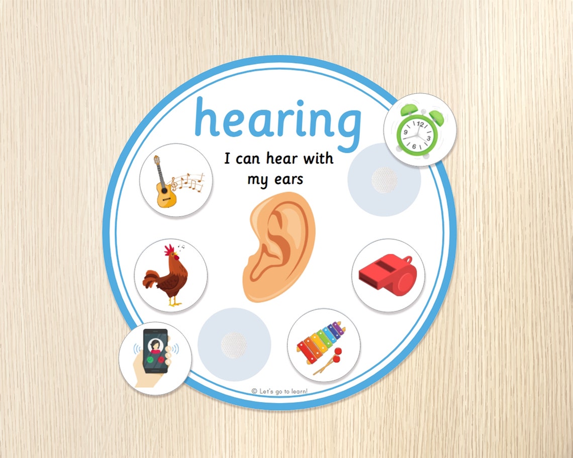 Five Senses Sorting Activity, 5 Senses Classification Game, Preschool ...