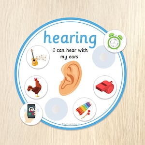 Five Senses Sorting Activity, 5 Senses Classification Game, Preschool ...