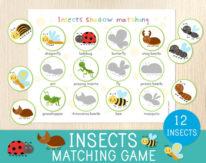 Insects Matching Game - Shadow Matching Activity - Toddler, Preschool ...