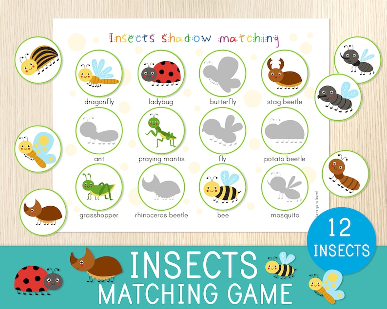 Insects Matching Game - Shadow Matching Activity - Toddler, Preschool ...