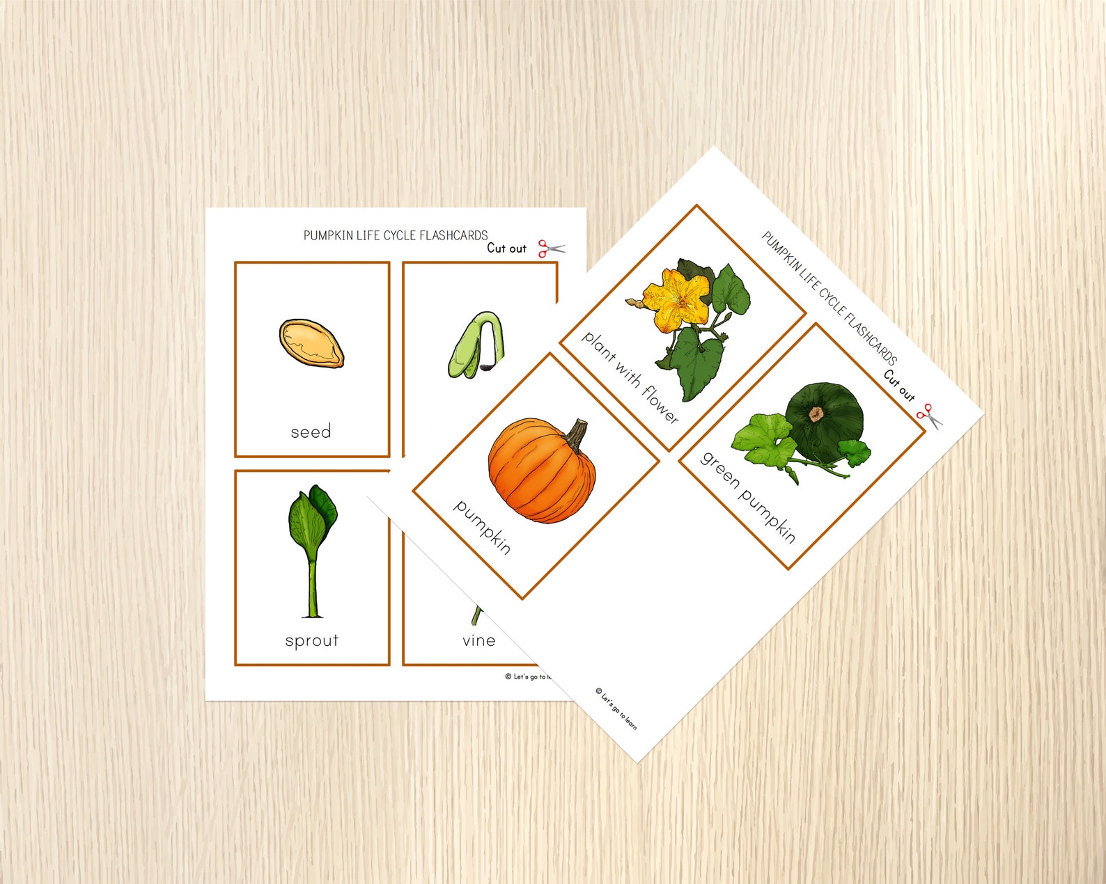 Pumpkin Unit Study, Parts, Life Cycle, Varieties, Worksheets, Fall ...