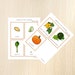 Pumpkin Unit Study, Parts, Life Cycle, Varieties, Worksheets, Fall ...