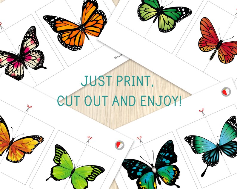 Butterfly Matching Activity Butterfly Puzzles Symmetry Kids - Etsy