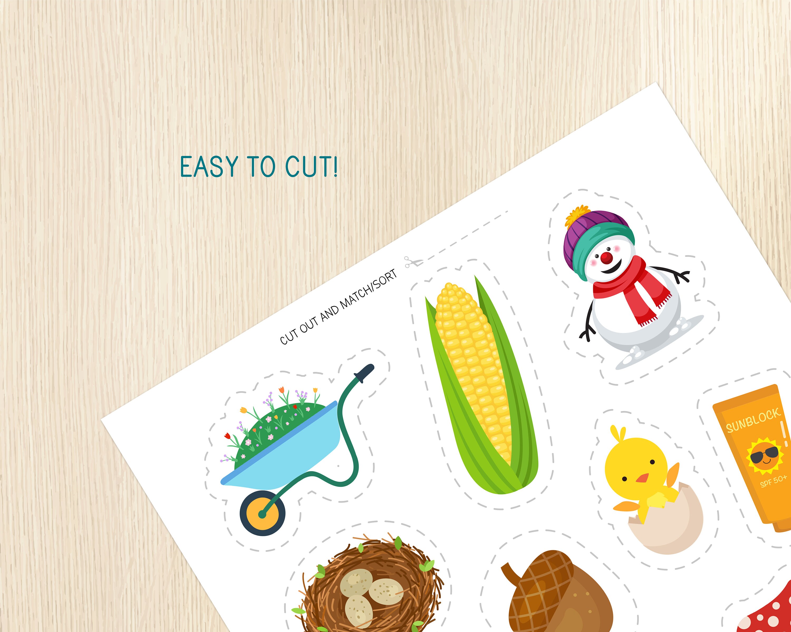 Seasons Matching Activity - Sorting Game - Sort by Seasons - Four ...