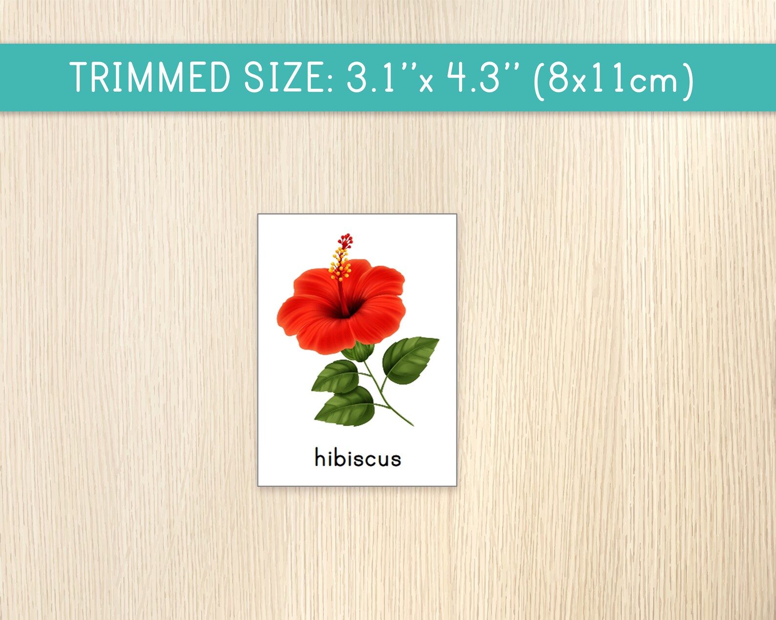 Flower 3-part Cards Nomenclature Cards Montessori Cards 40 - Etsy