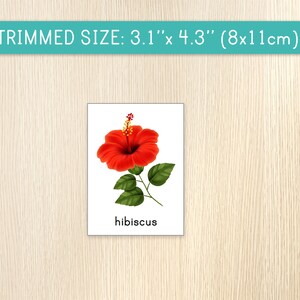 Flower 3-part Cards - Nomenclature Cards - Montessori Cards - 40 Flower ...