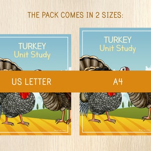 Turkey Unit Study, Anatomy, Life Cycle, Flashcards, Breeds, Worksheets ...