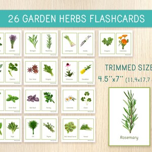 Garden Herbs BUNDLE 26 Herbs Flashcards 3-part Cards - Etsy