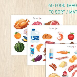 Food Sorting and Matching Activity - Preschool, Kindergarten Activity ...