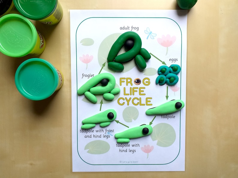 Frog Life Cycle Playdough Mats Play Doh Activity Preschool - Etsy