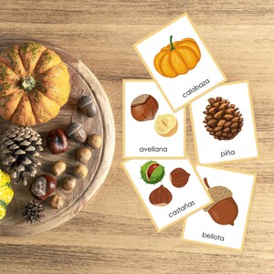 Fall Flashcards in Spanish, Autumn Vocabulary, Spanish Visual Cards ...