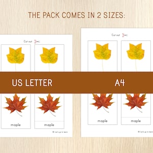 Fall Leaves 3-part Cards, 18 Nomenclature Cards, Real Images, Autumn ...