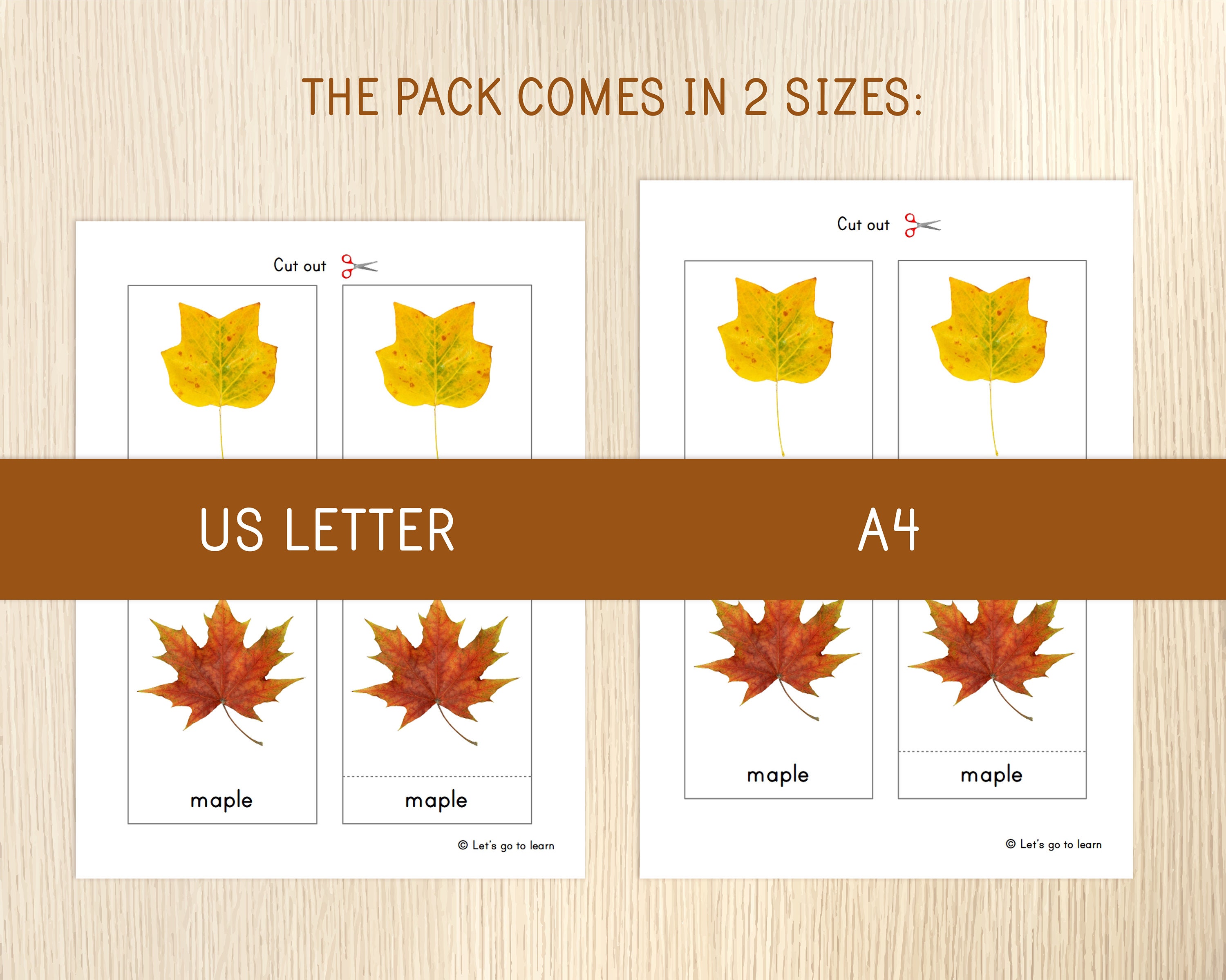 Fall Leaves 3-part Cards, 18 Nomenclature Cards, Real Images, Autumn ...