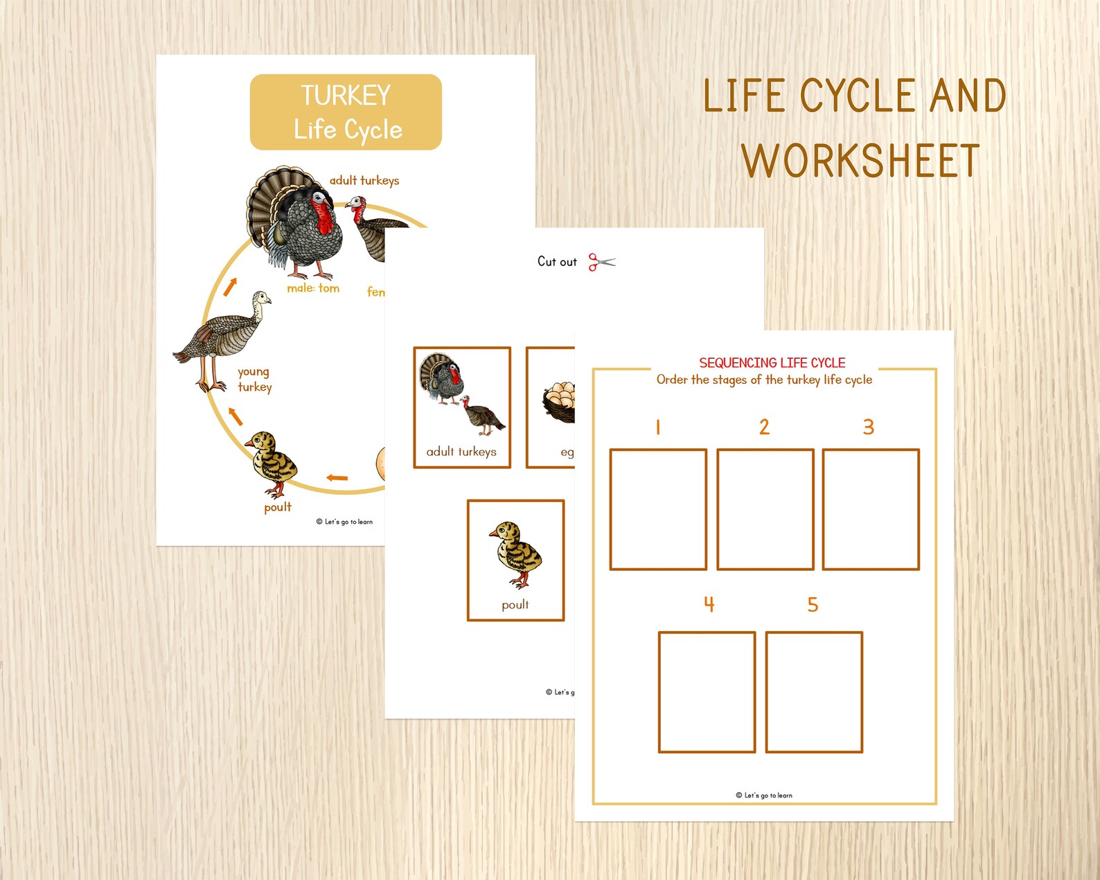 Turkey Unit Study, Anatomy, Life Cycle, Flashcards, Breeds, Worksheets ...