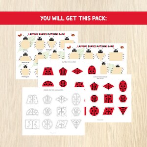 Ladybug Shapes Matching Activity, 2D Shapes Game, Spring Summer ...