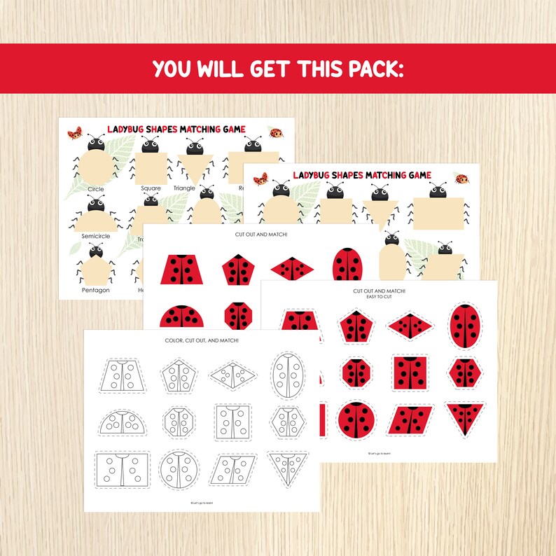 Ladybug Shapes Matching Activity, 2D Shapes Game, Spring Summer ...