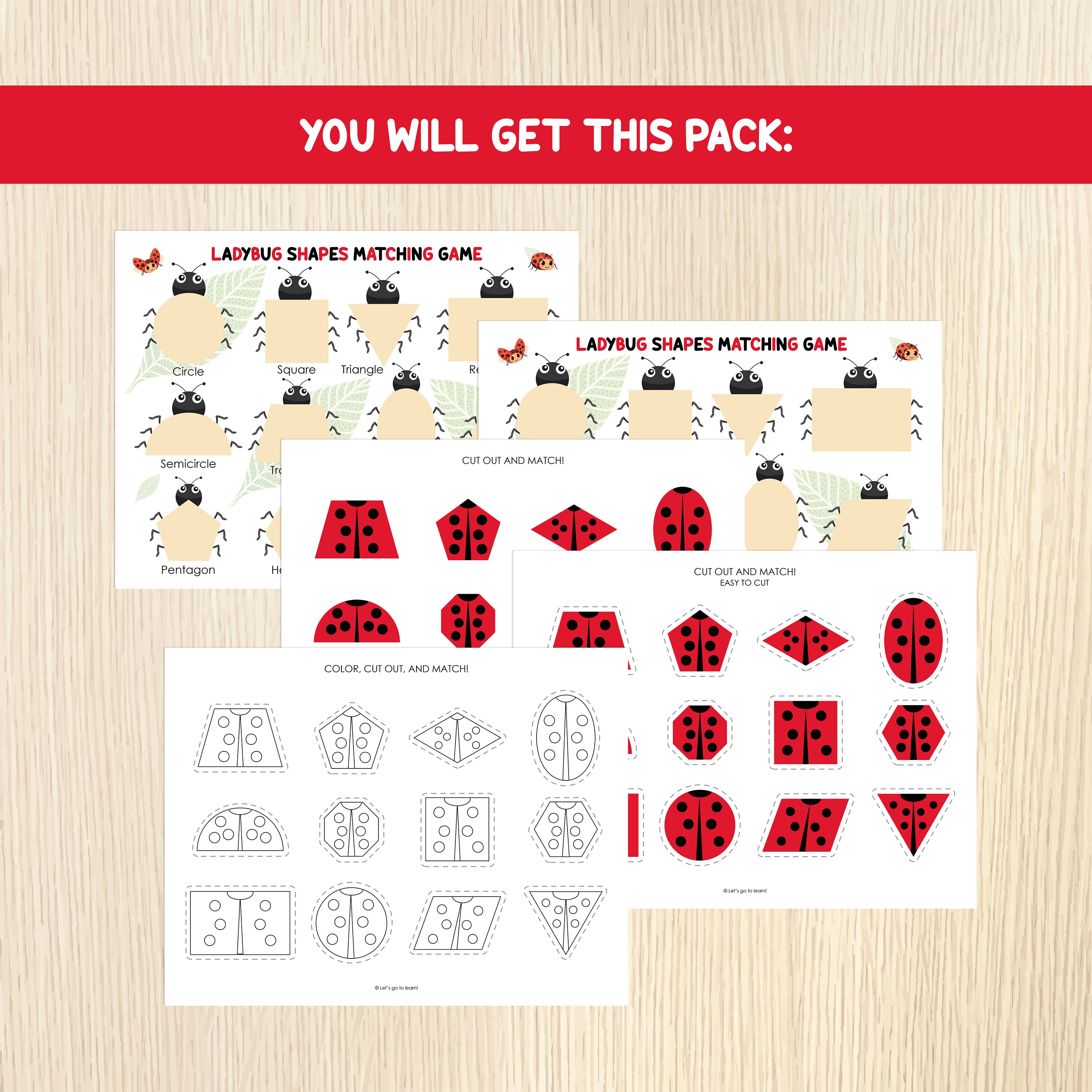 Ladybug Shapes Matching Activity, 2D Shapes Game, Spring Summer ...