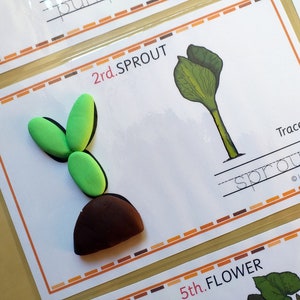 Pumpkin Life Cycle Playdought Mats, Play Doh Activity, Fall, Autumn ...