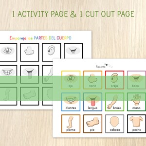 Body Parts Matching Activity IN SPANISH, Human Body, Toddler Busy Book ...