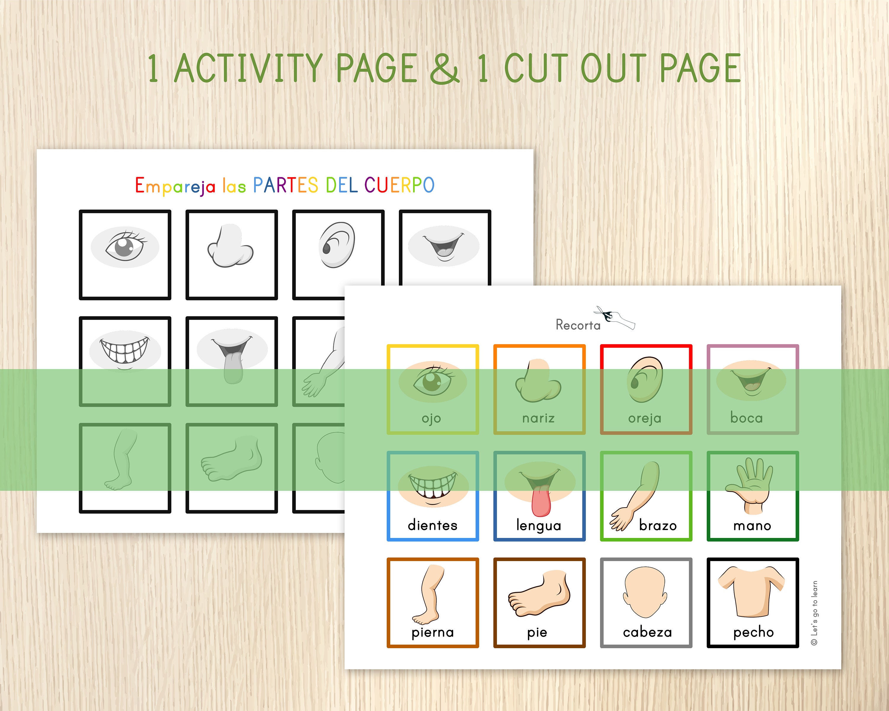Body Parts Matching Activity IN SPANISH, Human Body, Toddler Busy Book ...