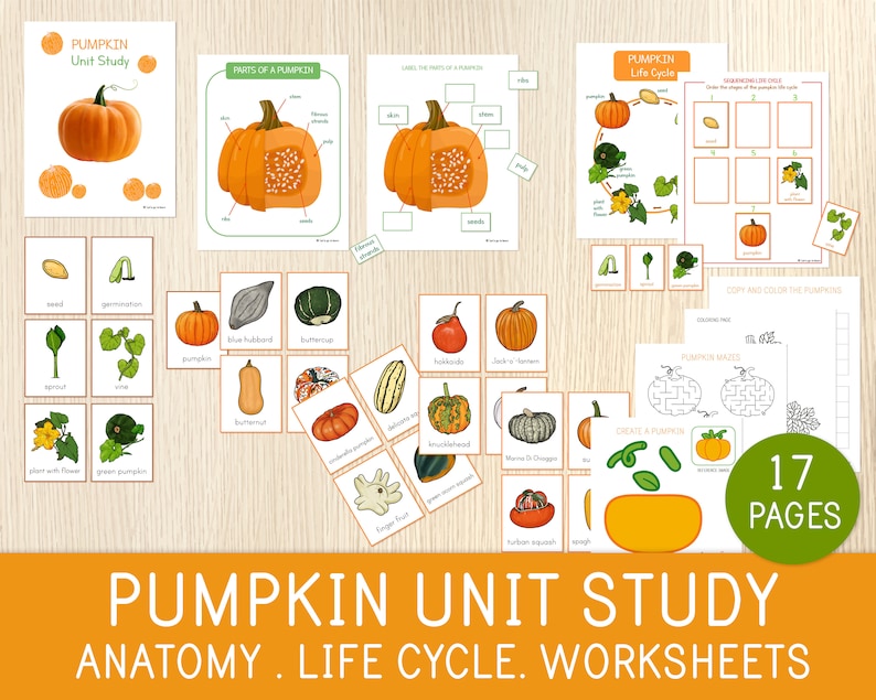 Pumpkin Unit Study, Parts, Life Cycle, Varieties, Worksheets, Fall ...