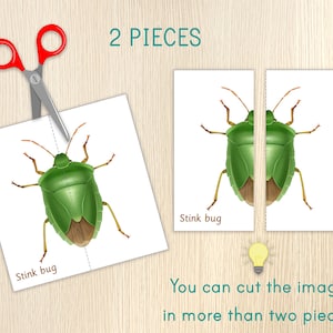 Insect Matching Activity, 30 Insect Puzzles, Symmetry, Kids Puzzles ...