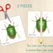 Insect Matching Activity, 30 Insect Puzzles, Symmetry, Kids Puzzles ...