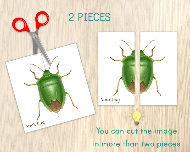 Insect Matching Activity 30 Insect Puzzles Symmetry Kids | Etsy