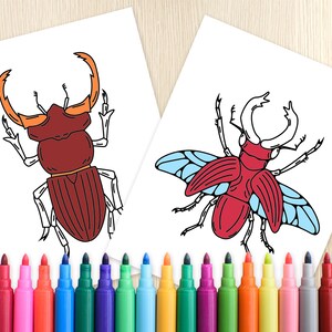 Beetles Coloring Pages, 8 Printable Sheets, Insects, Nature Study ...