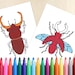 Beetles Coloring Pages, 8 Printable Sheets, Insects, Nature Study ...