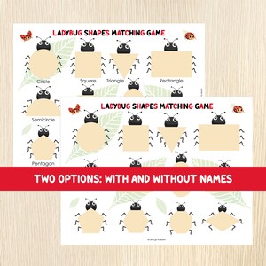 Ladybug Shapes Matching Activity, 2D Shapes Game, Spring Summer ...