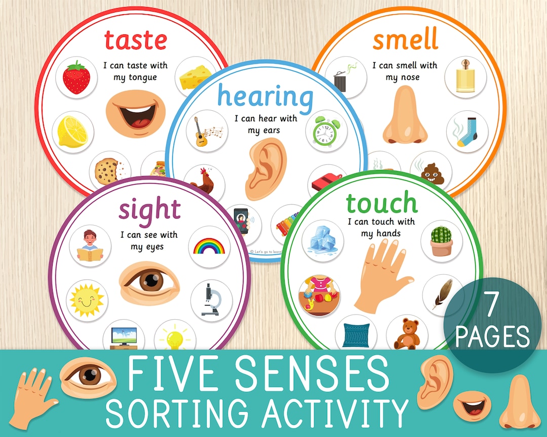 Five Senses Sorting Activity, 5 Senses Classification Game, Preschool ...
