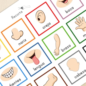 Body Parts Matching Activity IN SPANISH, Human Body, Toddler Busy Book ...