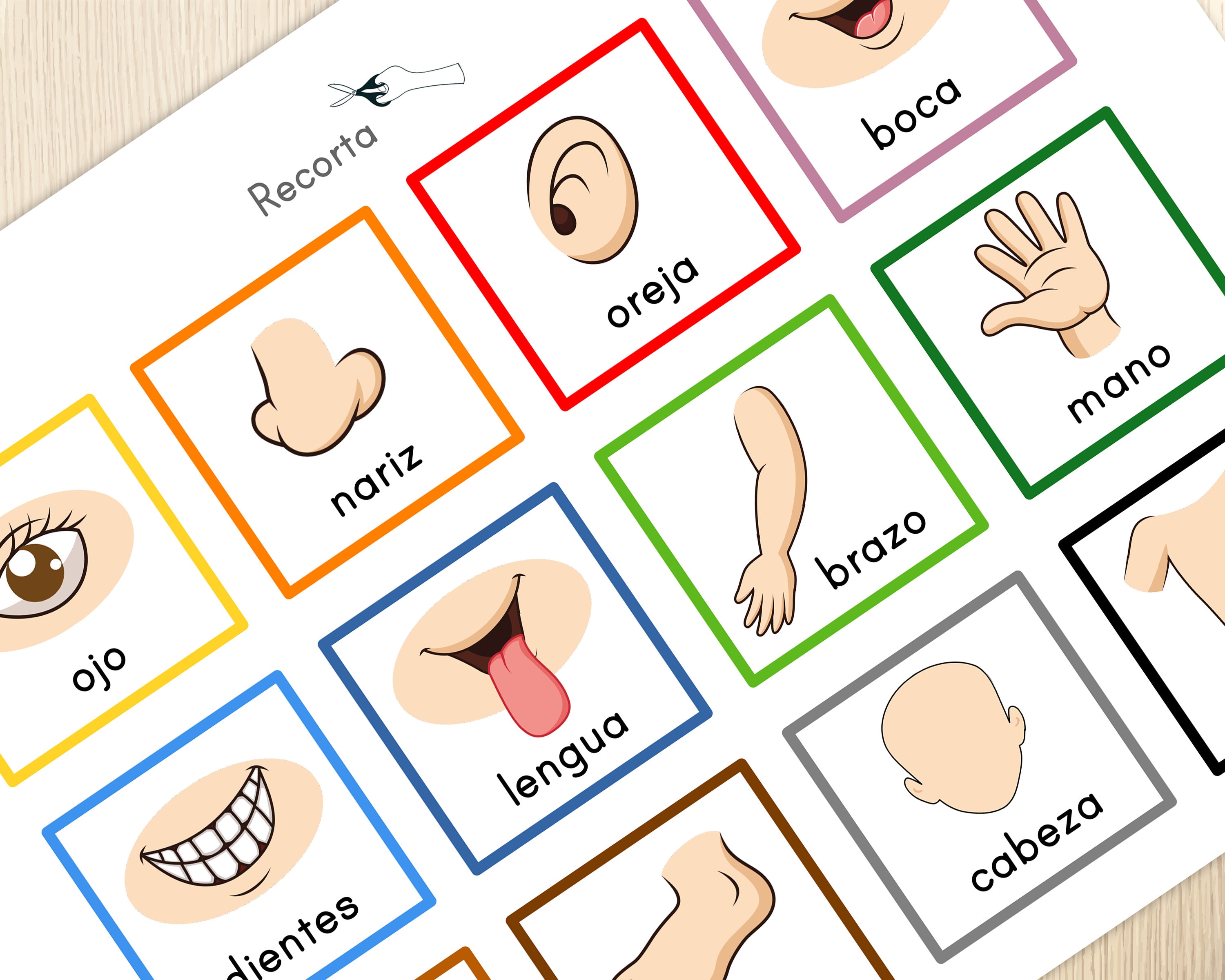 Body Parts Matching Activity IN SPANISH, Human Body, Toddler Busy Book ...