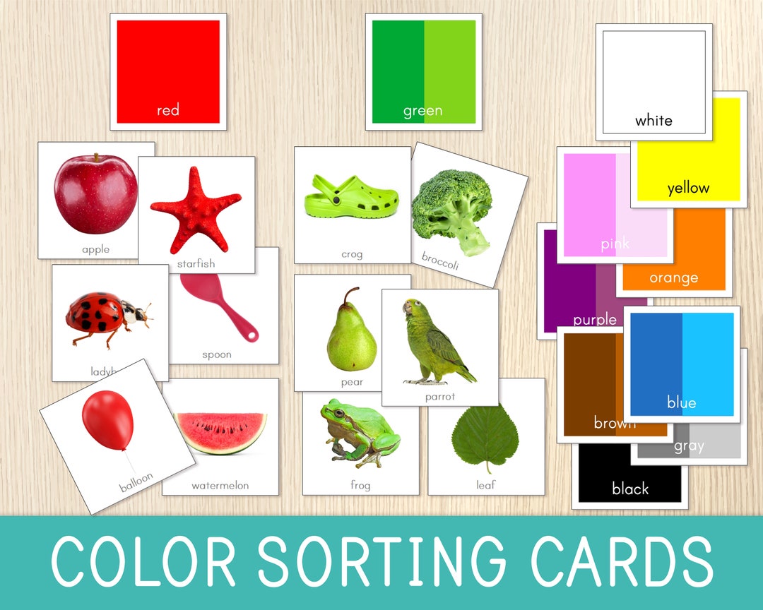 Color Sorting Cards, Color Matching, Montessori Activity, Toddler ...