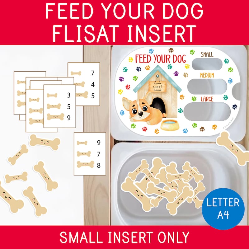 Sensory Bins Educational - Etsy